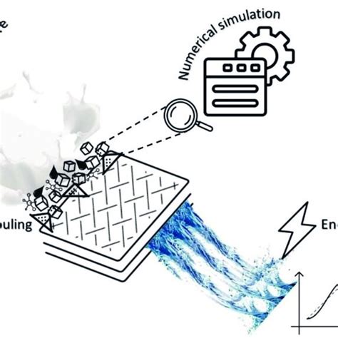 1 Composition Of The Fractions Obtained By Membrane Filtration