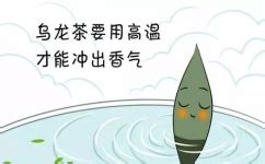 知其然不知其所以然 速网百科