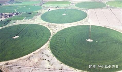 美国农场指针灌溉1个圆圈上千亩，1个人同时操作100台，省75 劳力 知乎