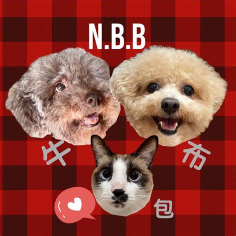 兩位摸來摸去是哪招？ 感情很好耶🥰 話說他們都會互相「學習」 怎麼說呢？以下為證據⋯ 我帶阿牛阿布到新竹家的時候 都不讓他們自己上下樓梯一律搭