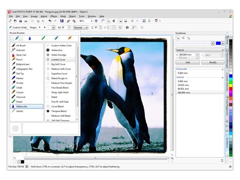 Corel Draw X7 Graphics Suite Fercraze