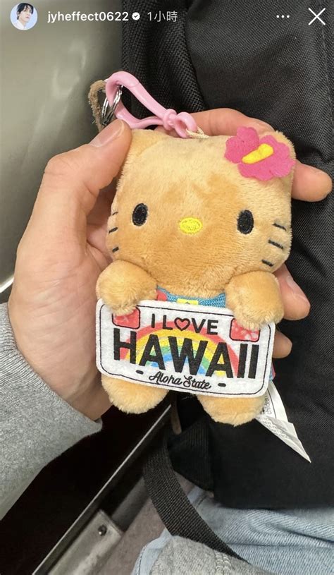 現貨 預購｜新品 夏威夷購入hello Kitty與朋友們曬黑絨毛玩偶吊飾 蝦皮購物