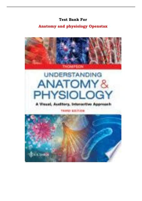 Test Bank Anatomy And Physiology Openstax All Chapters Complete Guide 2023 Nursing
