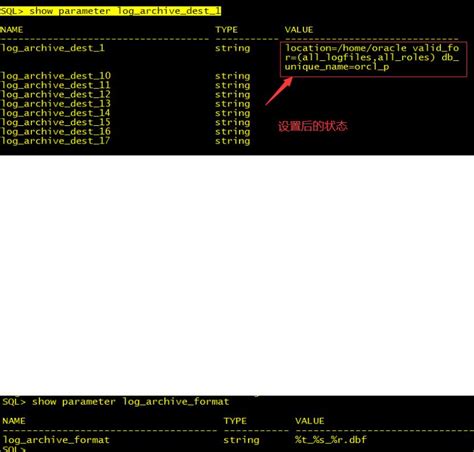 Oracle12c Dg搭建最大性能模式已验证文档pdf 墨天轮文档
