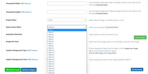 How To Add Image Hover Effects In WordPress Step By Step