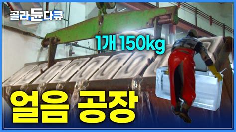 24시간이 모자라 여름 성수기 얼음 공장 무더운 날씨에 가장 일하기 좋은 직업 얼음 한 개 무게 150kg 얼음공장 극한직업 골라듄다큐 Youtube