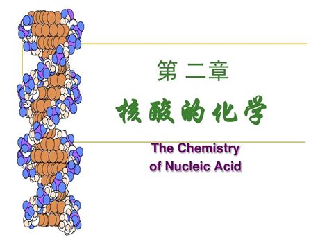 2 核酸的化学word文档在线阅读与下载无忧文档