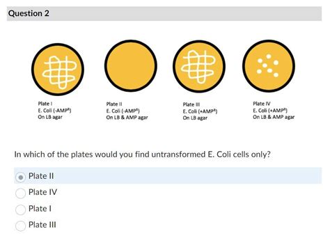 Solved Please Answer The Following Questions According To
