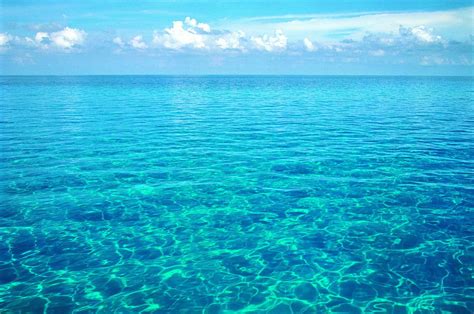 Фото бабки на море