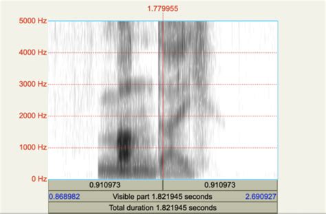 Spectrograms Flashcards Quizlet