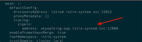 Does Skywalking Support Istio 110 · Issue 7241 · Apacheskywalking · Github