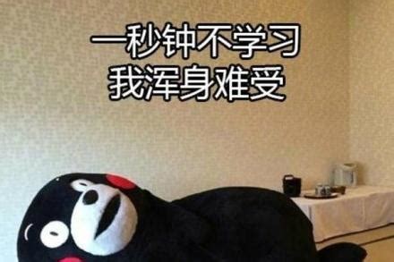 新浪囧哥说事 新浪看点