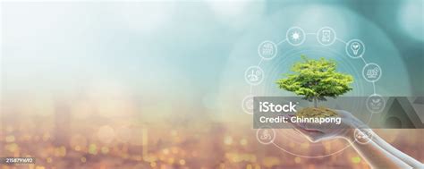 글로벌 부 환경 지속 가능성 거버넌스 목표 세계 환경의 날 Esg 생태 기술 과학 넷 제로 아이콘과 함께 녹색 지구와 함께하는 비즈니스 투자를 위한 Csr 생태 개념 0명에