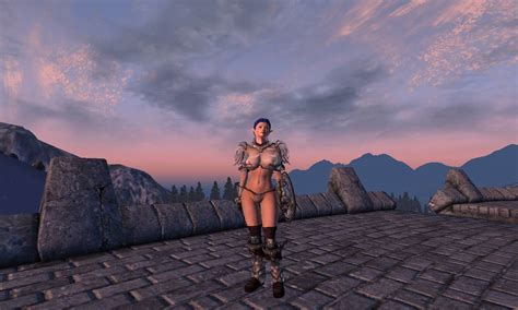 Some More Armor Cloth E Cup Ll Downloads Oblivion Adult And Sex Mods