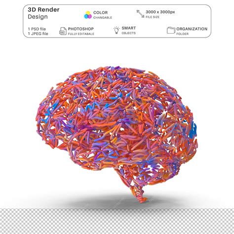 Premium Psd Colorful Brain 3d Modeling Psd File Realistic Human Anatomy