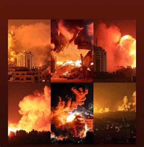 aicha taleb posted on linkedin