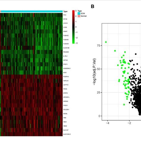 identification of hub genes a twelve algorithms to screen hub