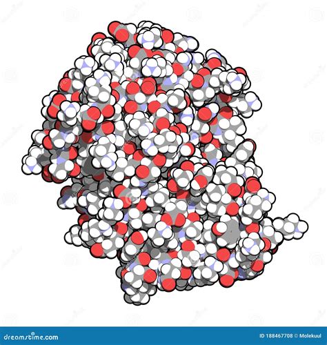 Beta Lactamase Enzyme From Staphylococcus Aureus Responsible For Resistance Against Penicillin