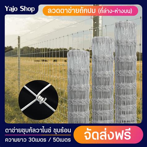 จัดส่งฟรี ลวดตาข่ายถักปม ยาว50m ช่องตาถี่ไล่ระดับ รั้วตาข่ายเหล็กถัก ตะข่ายล้อมรั้ว รั้วตาข่าย