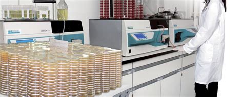 Automated Cell Culture Systems Industry Soars To Us2087 Billion By