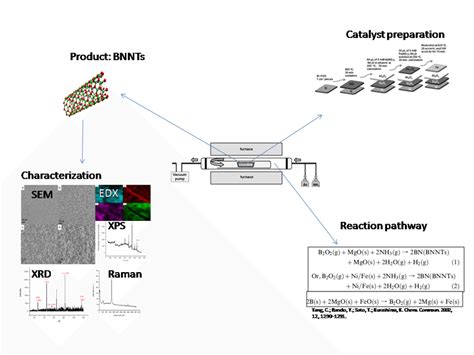 Schematic Summary Of The Work Download Scientific Diagram