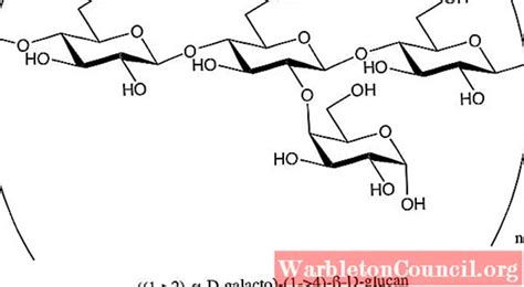 Heteropolysaccharides Characteristics Structure Functions Science