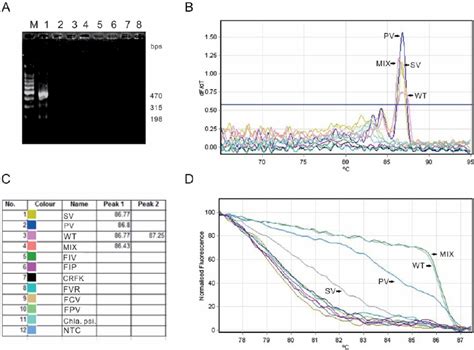 A Specificity Of Multiplex Amplification Refractory Mutation System