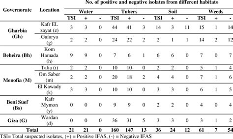 Preliminary Identification Of Ralstonia Solanacearum Isolates Which