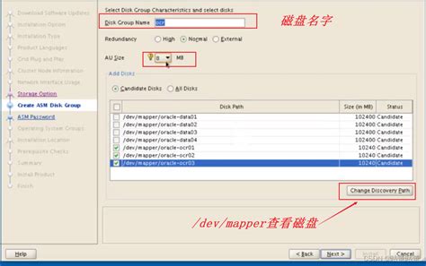 七、oracle11g Rac集群搭建 Linux安装rac集群 Gridandoraclerac 11g For Linux安装 Csdn博客