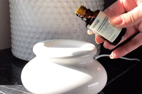 Can I Use Tea Tree Oil On My Piercing The Surprising Facts About Tea