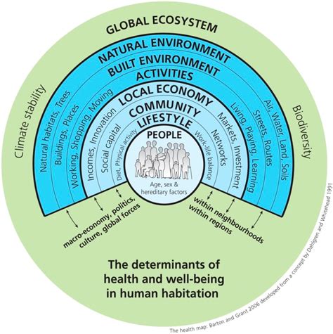 Everything About Wood Green Infrastructure Ecosystem Services And