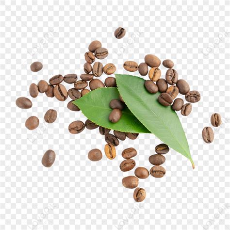커피 음료 볶은 커피 콩 커피 일러스트카페인집중 Png 일러스트 무료 다운로드 Lovepik