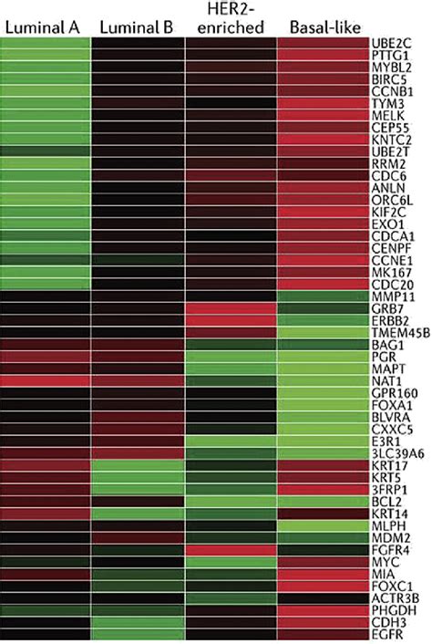 Prediction Analysis Of Microarrays Pam 50prosigna Molecular