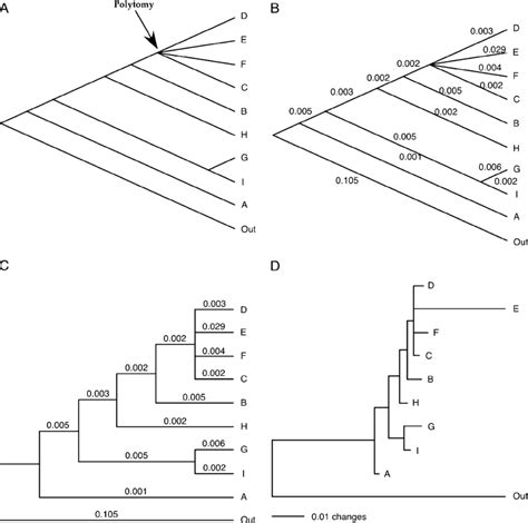 The Tree From Figure 2 Rooted With An Additional Outgroup Sequence