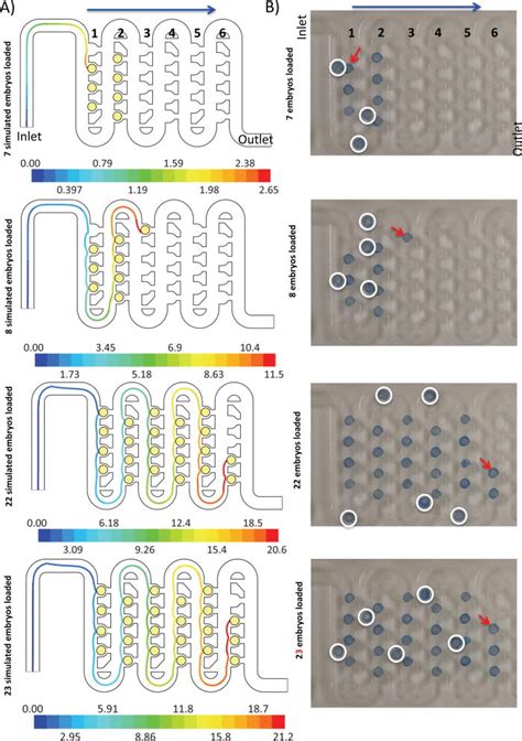 Implementation Of Lagrangian Particle Tracking Model To Predict The