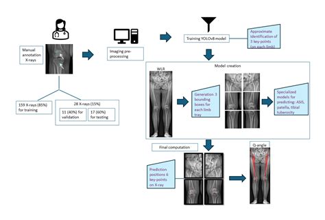 Artificial Intelligence Applied To Q Angle Measurement Preliminary Results On An Algorithm