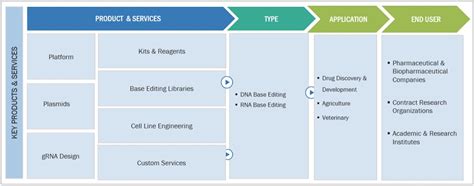 Base Editing Market Key Growth Drivers And Trends Forecast