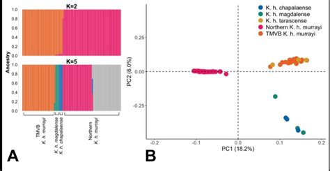 A Admixture Ancestry Assignments For Samples Of Kinosternon Hirtipes