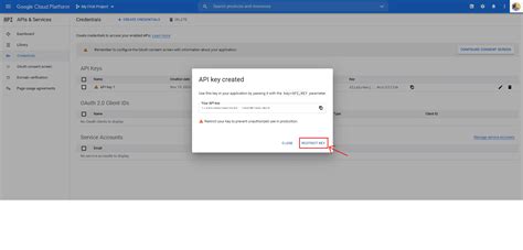 What Is Google APIs How Can You Get A Free Google API Key OutRight Store