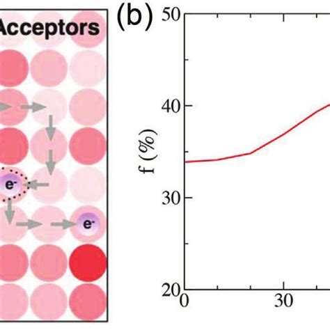 A A Schematic Diagram Of The Interfacial Ct Excitons Dynamics Download Scientific Diagram