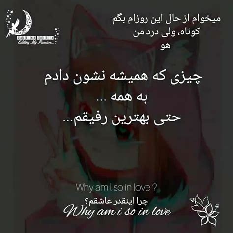 دارک غمگین حال و روز