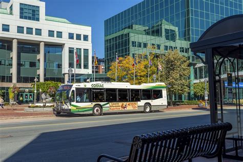 Codiac Transpo Comments Lets Chat Moncton