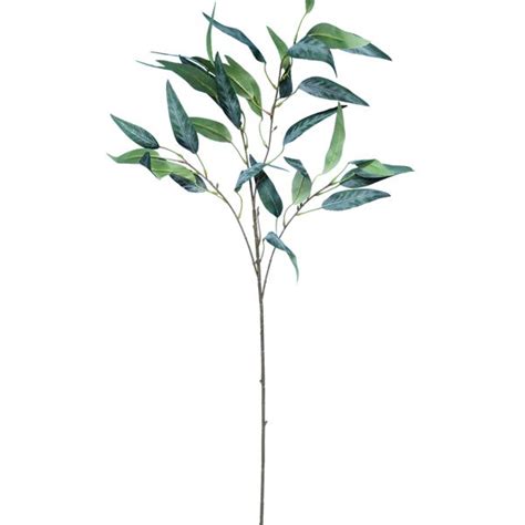 Dry Eucalyptus Leaf Spray X3 L96cm Dxd 179 Sunenergy Floral