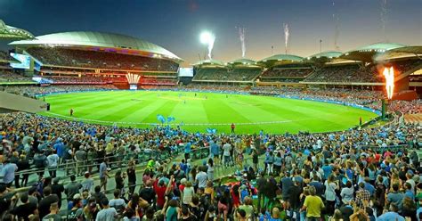 Str Vs Hur Pitch Report Today Bbl Match Adelaide Oval Adelaide Pitch