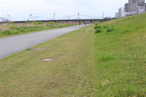 Riverbed Cityscape Free Photo On Pixabay Pixabay