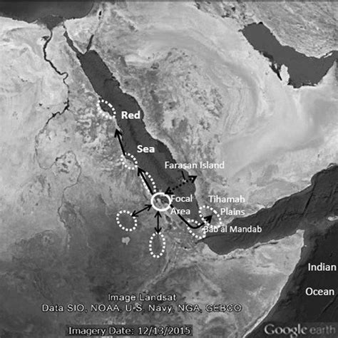 Pdf Issues In Mapping And Classifying The Semitic Languages Of Ethiopia