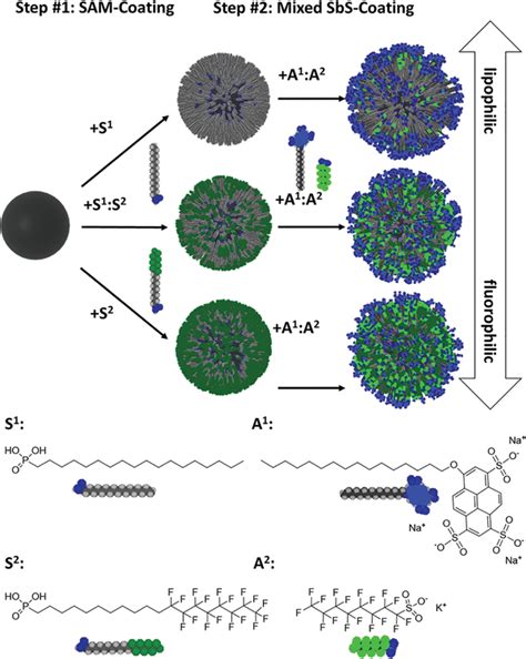 Concept Of The Two‐step Self‐assembly With Driving Forces On Multiple Download Scientific