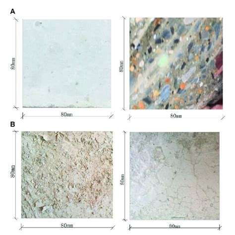 Concrete Surface Morphology Diagram A Standard Curing Concrete Download Scientific Diagram