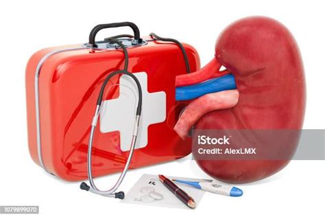 첫 번째 의료 지원과 치료 신장 개념 3d 렌더링에 고립 된 흰색 배경 Pyelonephritis에 대한 스톡 사진 및 기타 이미지 Pyelonephritis 3차원