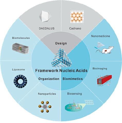 Examples Of Nucleic Acids In Nature At Matthew Wetzel Blog